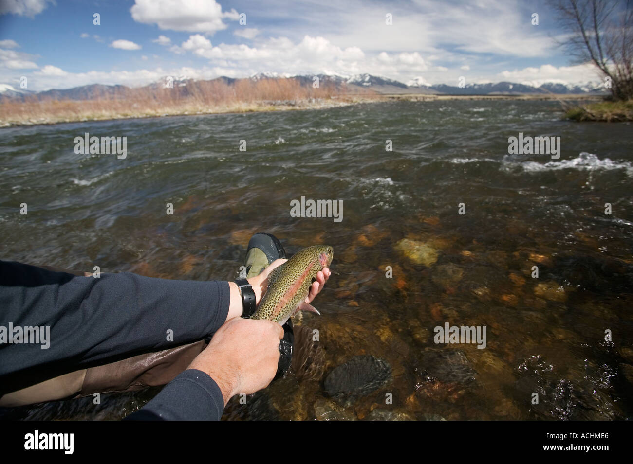 Self releasing hi-res stock photography and images - Alamy