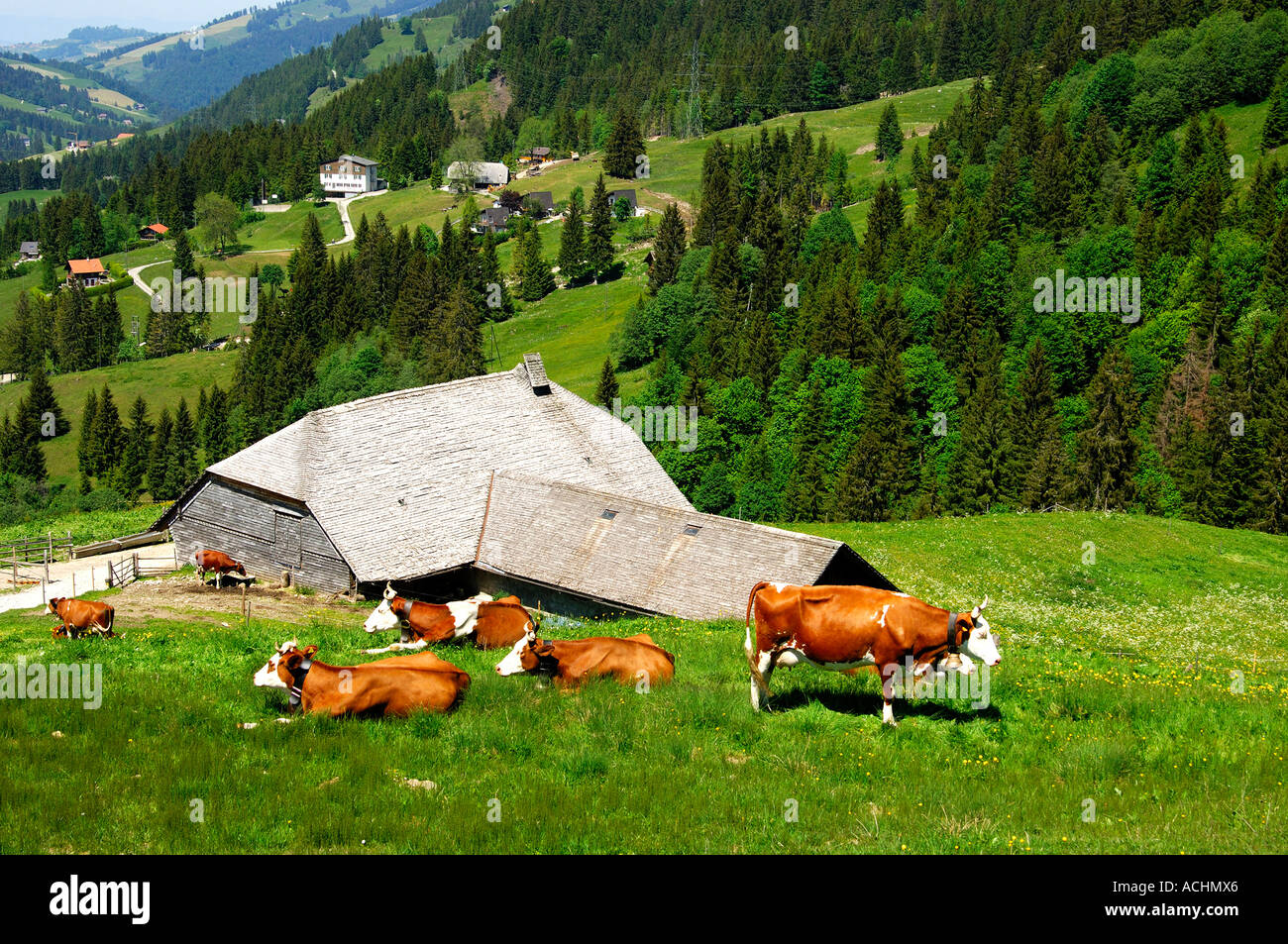 High rise roof farm hi-res stock photography and images - Alamy