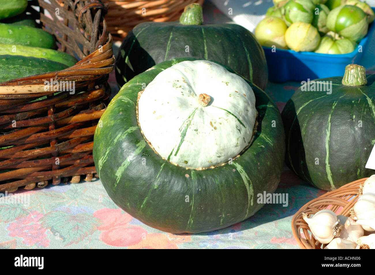 Bon Bon squash for sale at master gardeners farmers market in ...