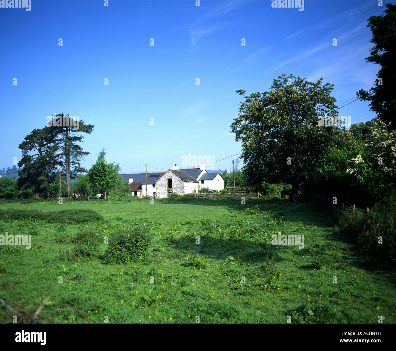 Fforest farm hi-res stock photography and images - Alamy