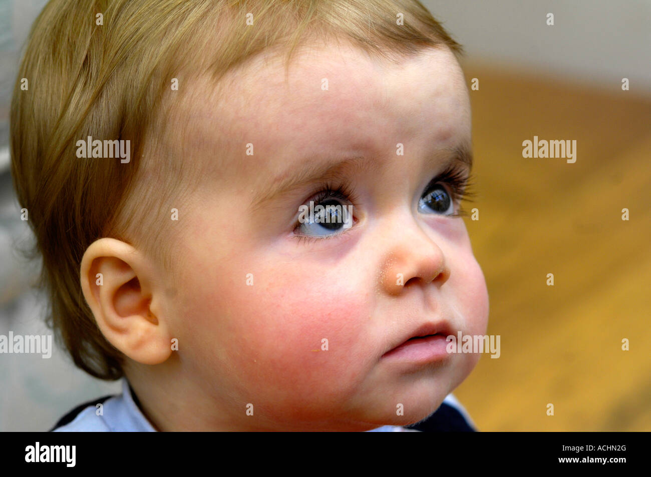 baby one year toddler caucasian boy male eyes detail horizontal face ...