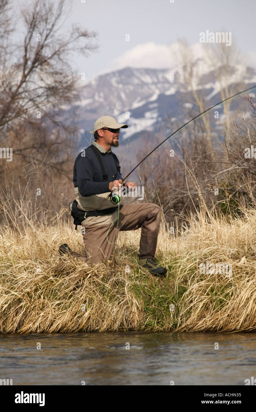 Man fly fishing for trout Stock Photo - Alamy