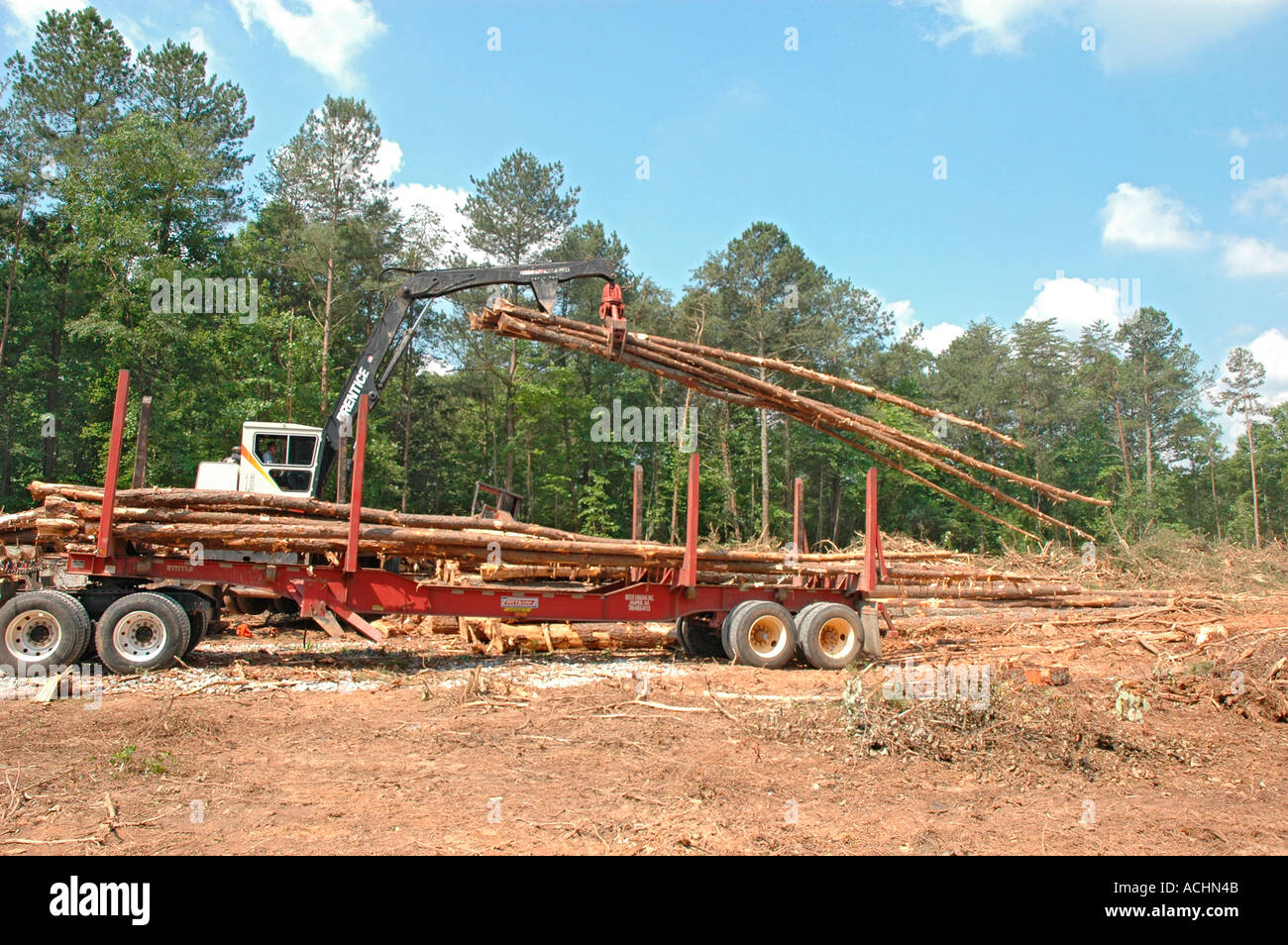 Clearing off land for commercial development by cutting trees into logs ...