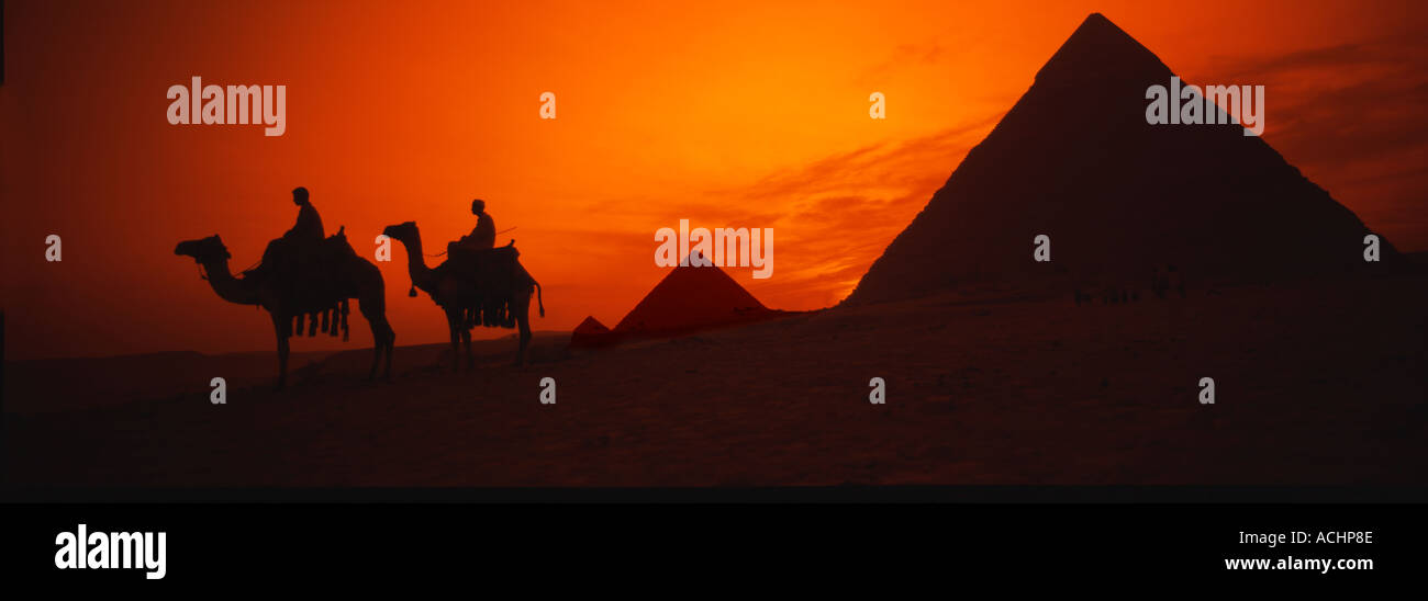 Silhouette camel pyramid sunset giza hi-res stock photography and ...