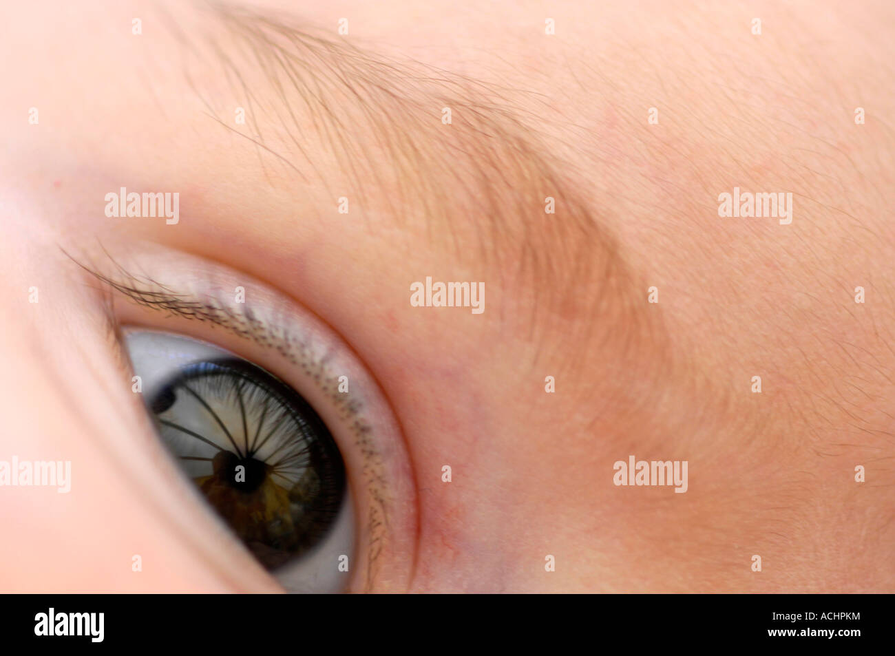 eye baby girl female caucasian detail macro close up see seeing sight ...