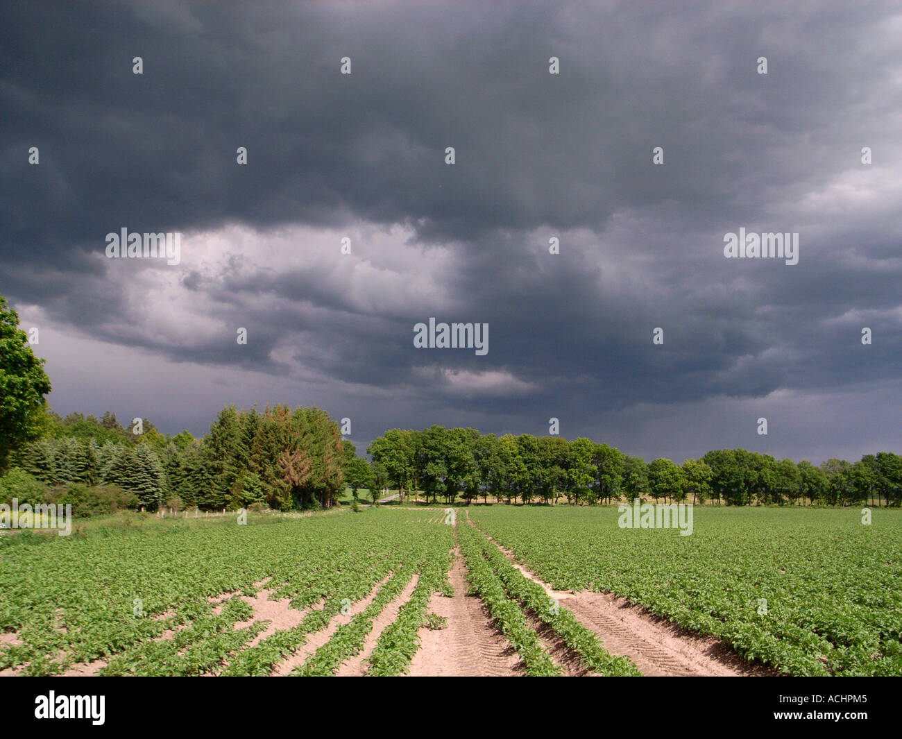 Rainy wether hi-res stock photography and images - Alamy