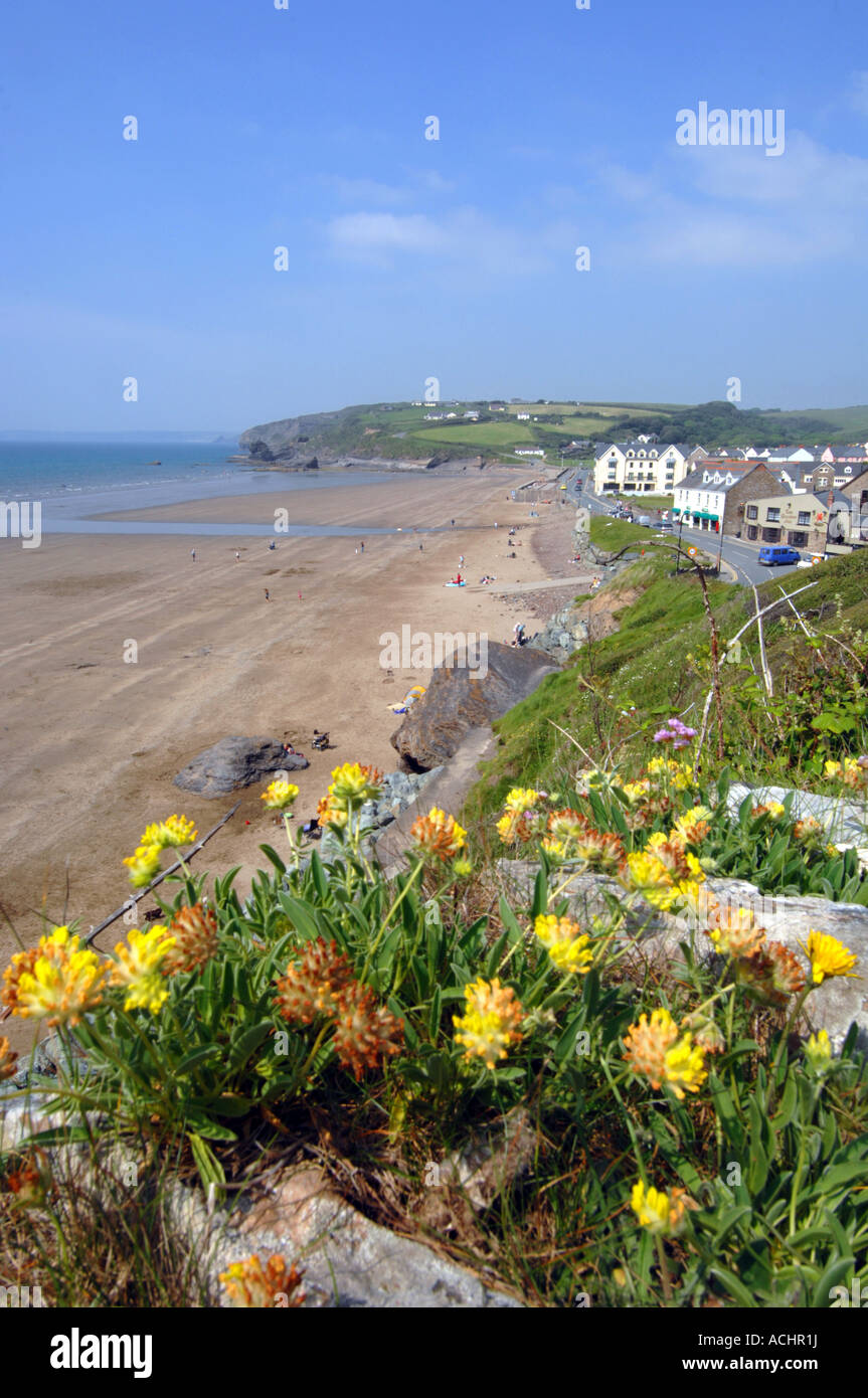 Broad Haven beach, South Pembrokeshire, Wales Stock Photo - Alamy