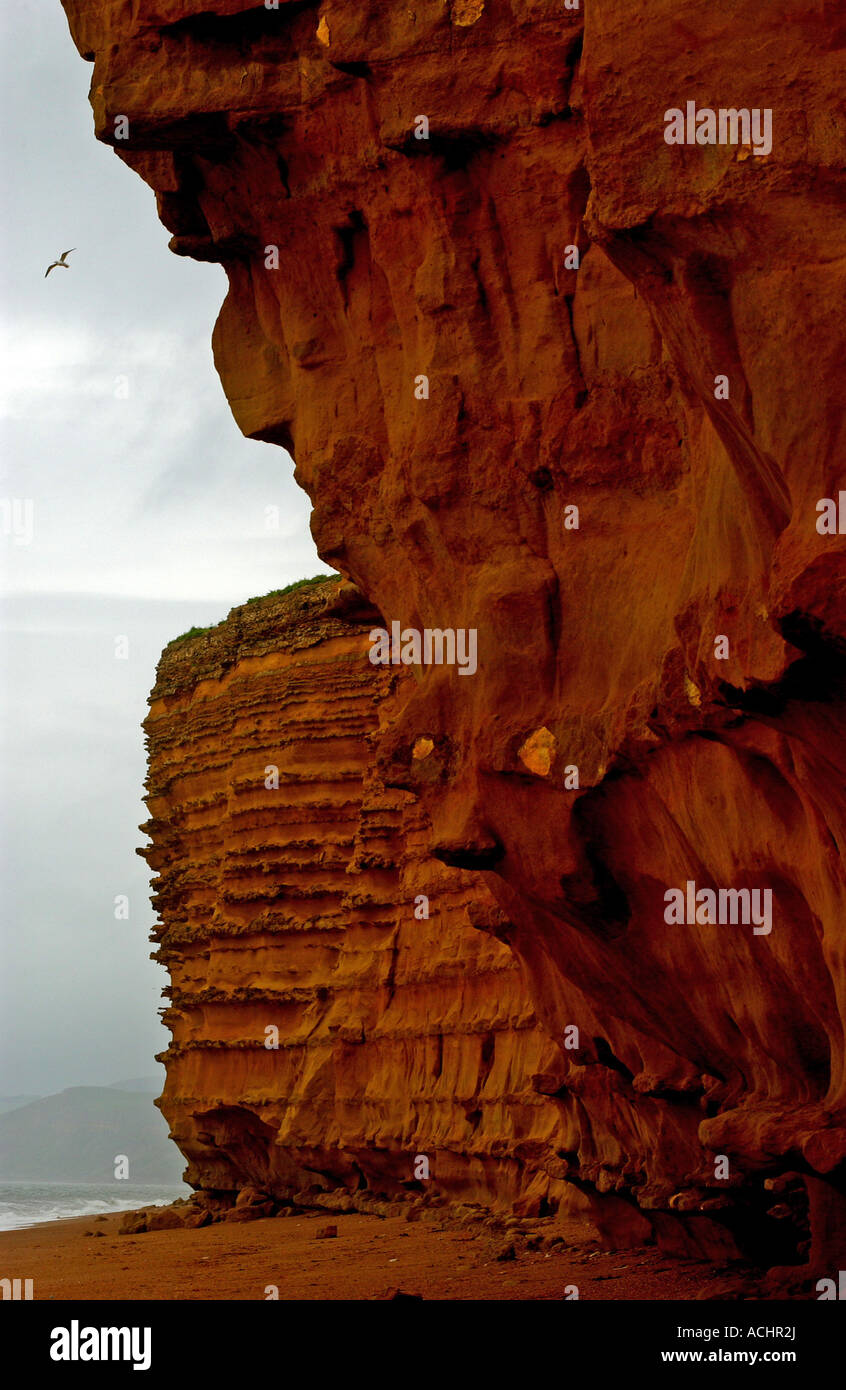Hive beach on dorset hi-res stock photography and images - Alamy
