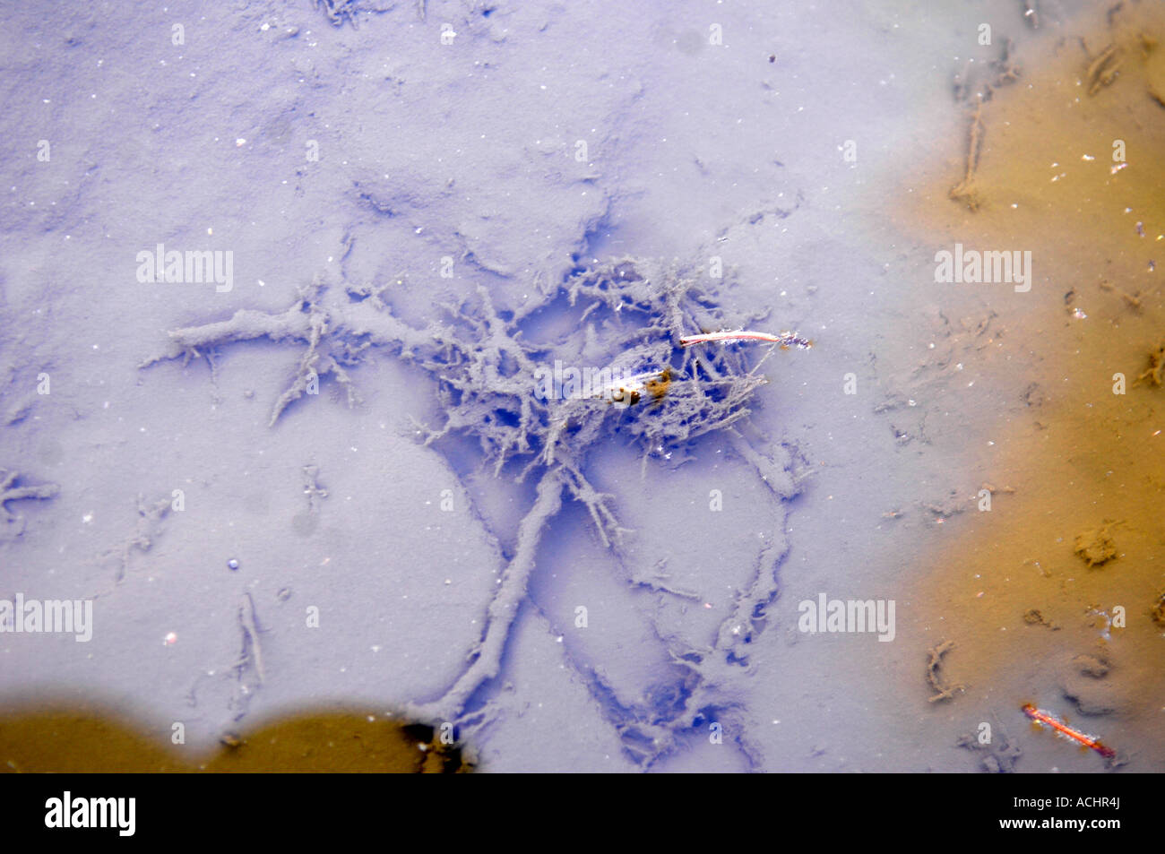 waterlooged flood detail silt mud Stock Photo - Alamy