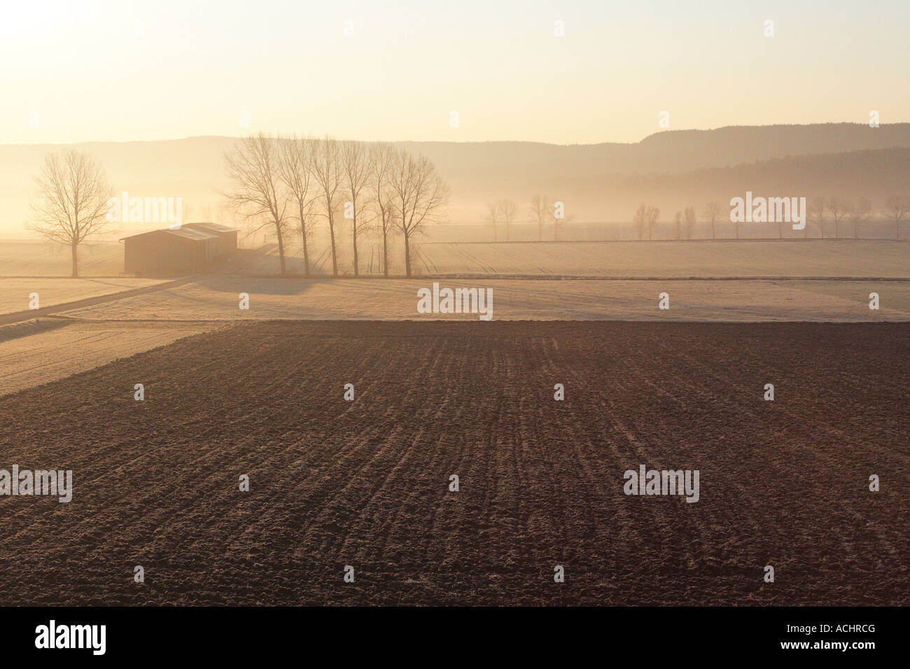 Sun is rising under the trees hi-res stock photography and images - Alamy