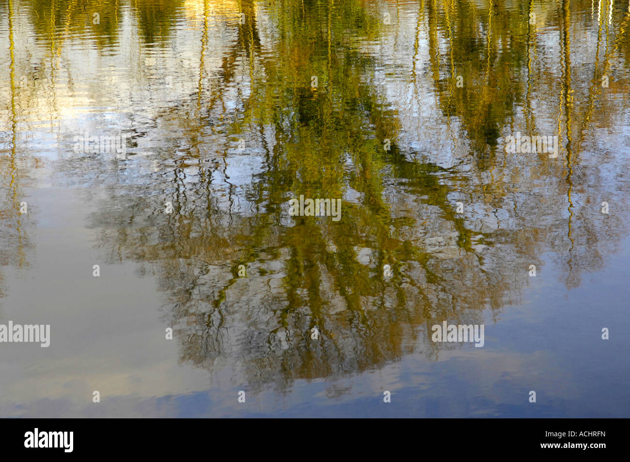 Flood flooded field germany german hi-res stock photography and images ...