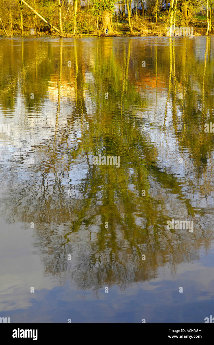 Flood flooded field germany german hi-res stock photography and images ...