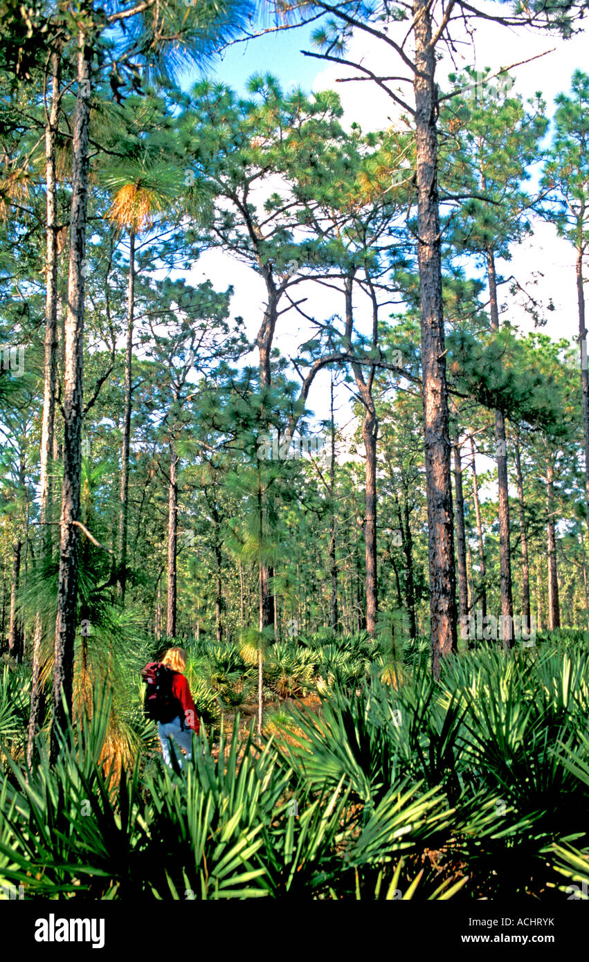 Woman backpacker hiking Florida Trail Ocala National Forest florida ...