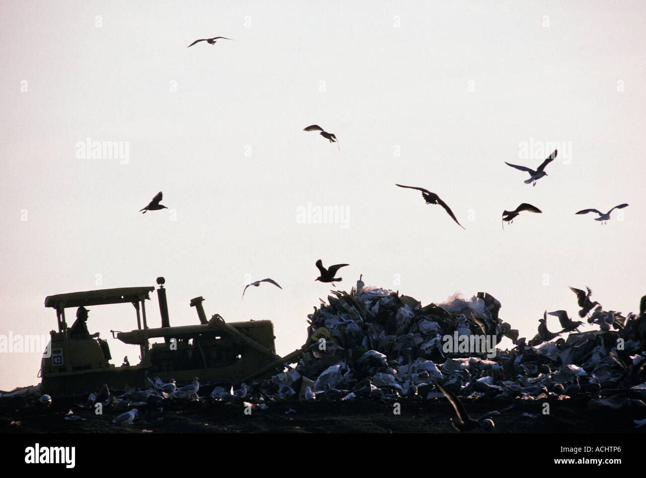 Bulldozer piling garbage at landfill Stock Photo - Alamy