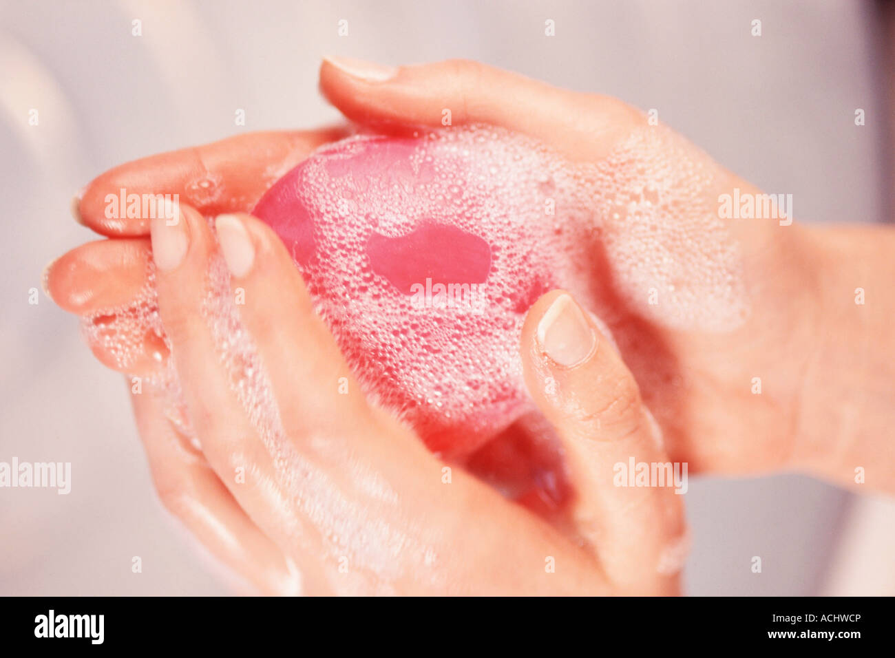 Close-up on woman washing her hands pink soap lather Stock Photo - Alamy