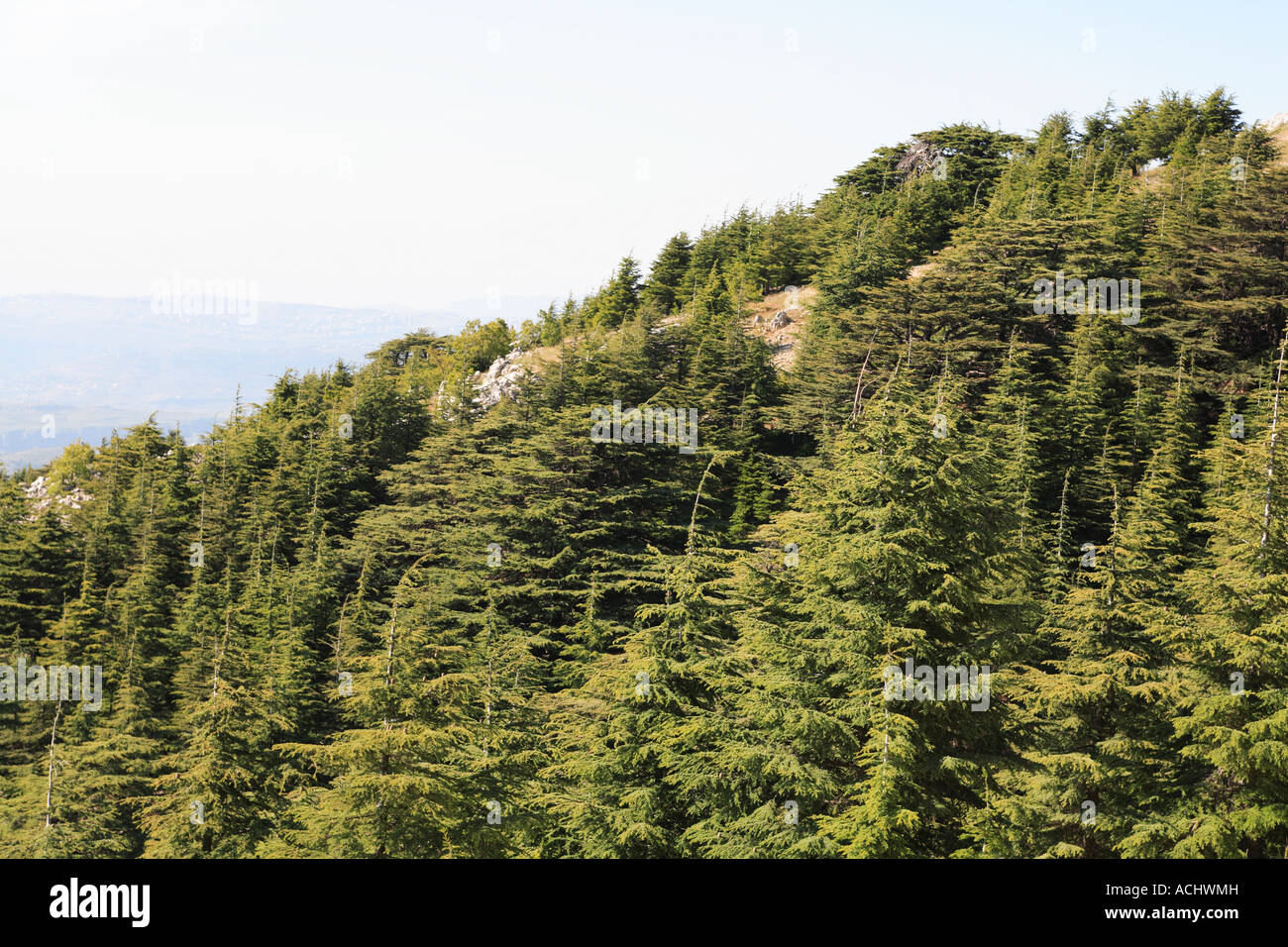 Lebanon chouf mountains hi-res stock photography and images - Alamy