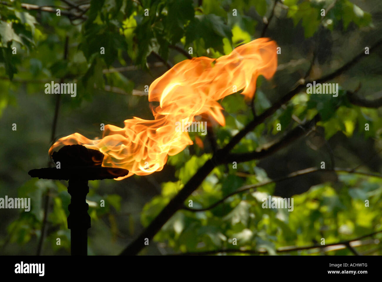 Flaming torch hi-res stock photography and images - Alamy