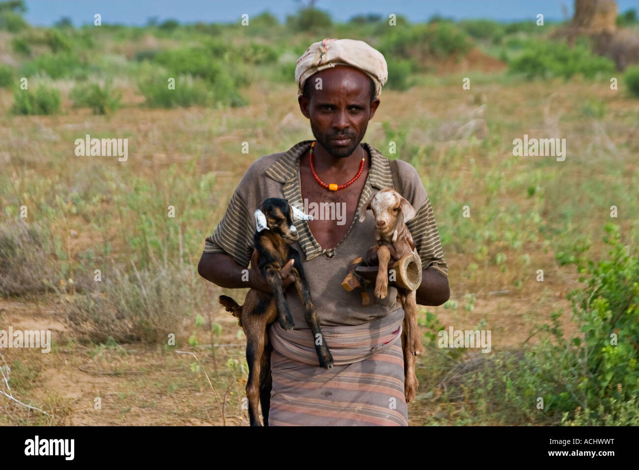 Arbore man with baby goats, Weyto, Ethiopia Stock Photo - Alamy