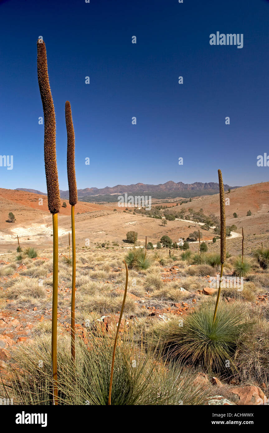 Hucks hi-res stock photography and images - Alamy