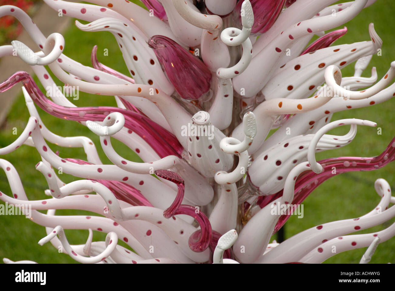 Dale Chihuly blown glass installation in Florida Stock Photo - Alamy