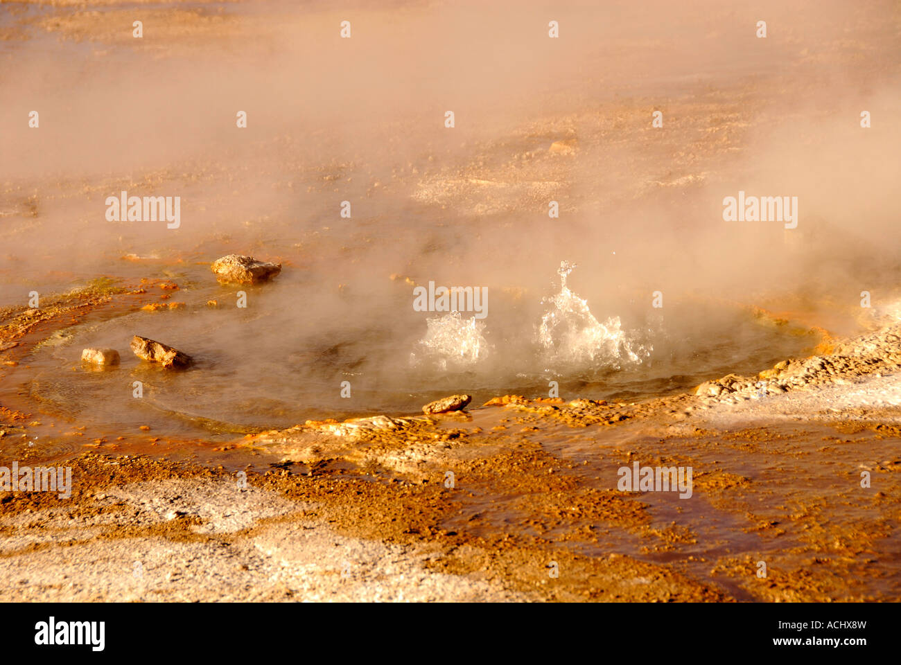 Boiling geyser Atacama Desert Chile South America Stock Photo - Alamy