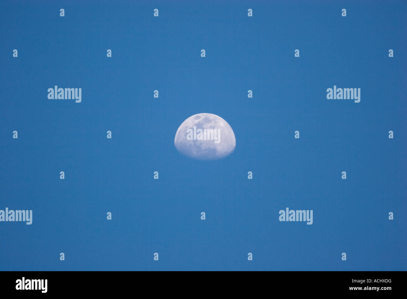 Moon in the evening sky from Houston Texas Stock Photo - Alamy