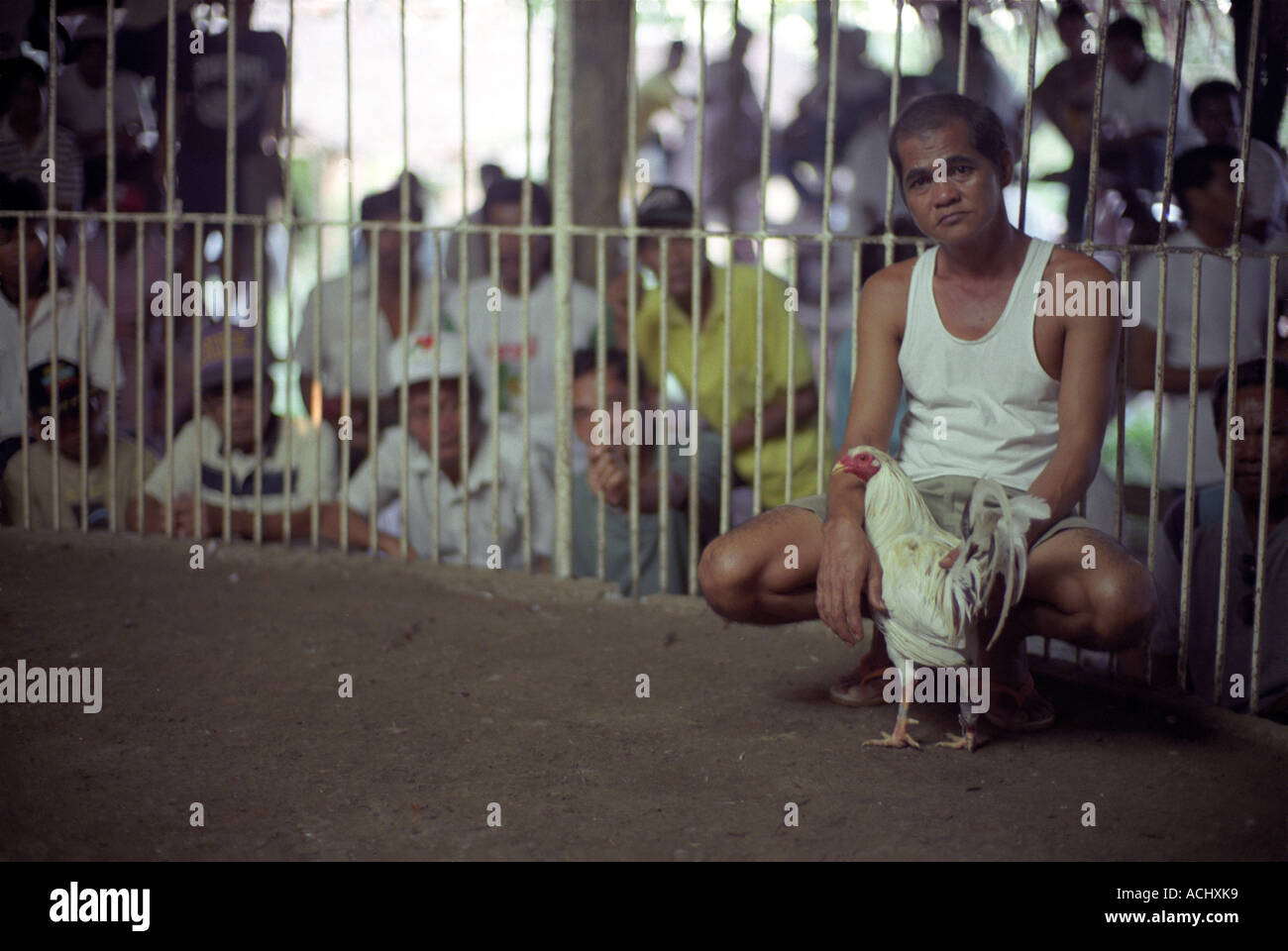 Asia Philippines Panay Island Kalibo Man with prized rooster before ...