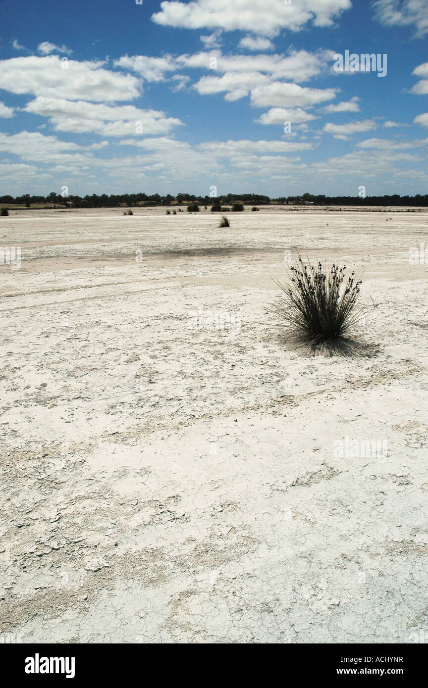 Salt Lake, Western Australia Stock Photo - Alamy