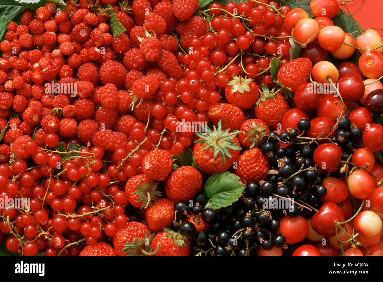 Composition red fruits: strawberries gooseberries raspburries black ...