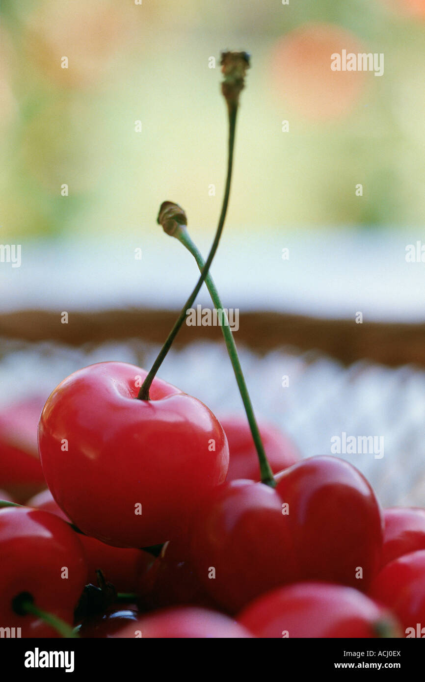 Close-up on cherries Stock Photo - Alamy