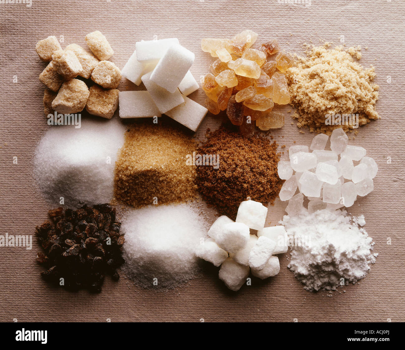 Life in different forms hi-res stock photography and images - Alamy