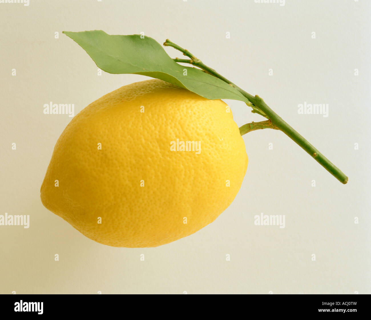 Lemon green leaf Stock Photo - Alamy