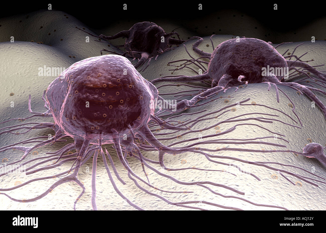 Cancer cells side by side hi-res stock photography and images - Alamy