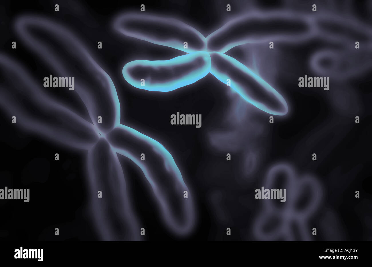 Chromosomes genes hi-res stock photography and images - Alamy