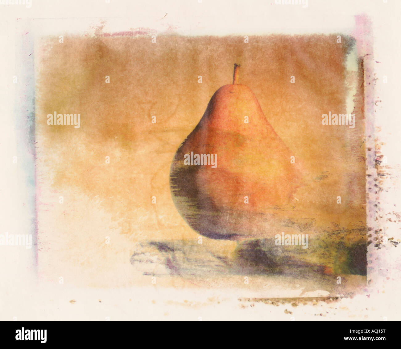 Drawing of a pear Stock Photo - Alamy