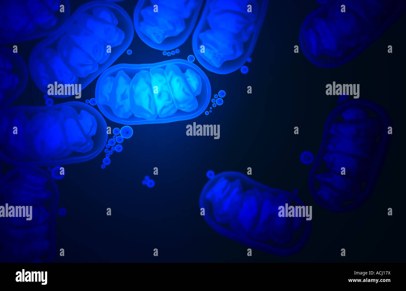 Generic bacterial cells Stock Photo - Alamy