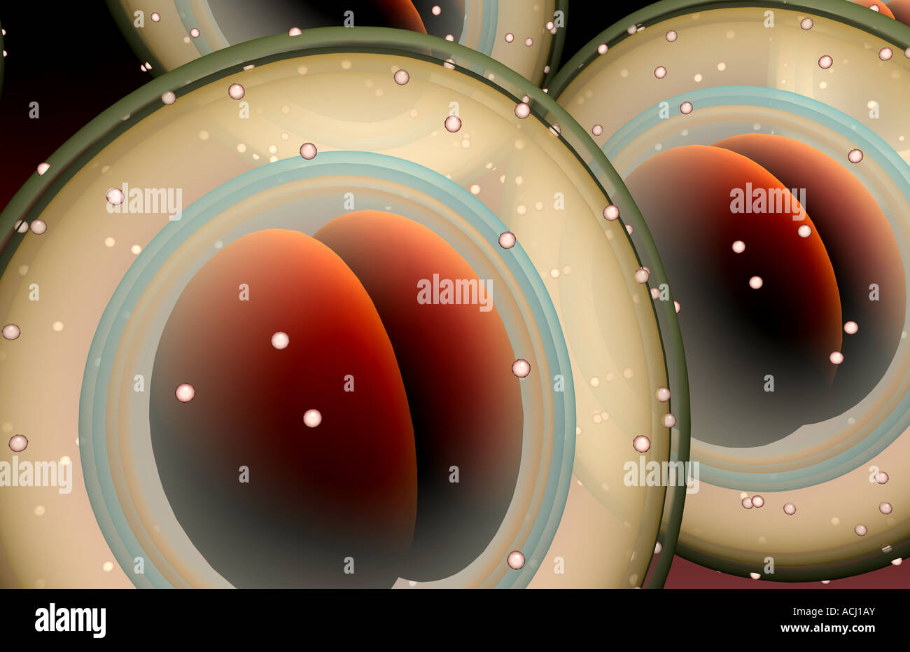 The structure of MRSA Stock Photo - Alamy