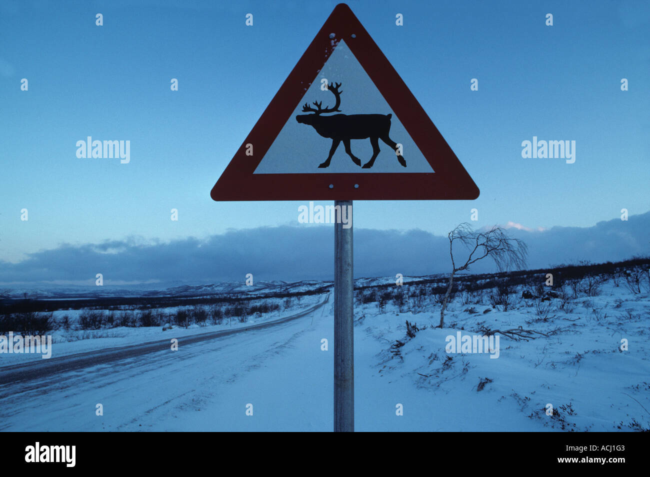 Reindeer crossing sign hi-res stock photography and images - Alamy