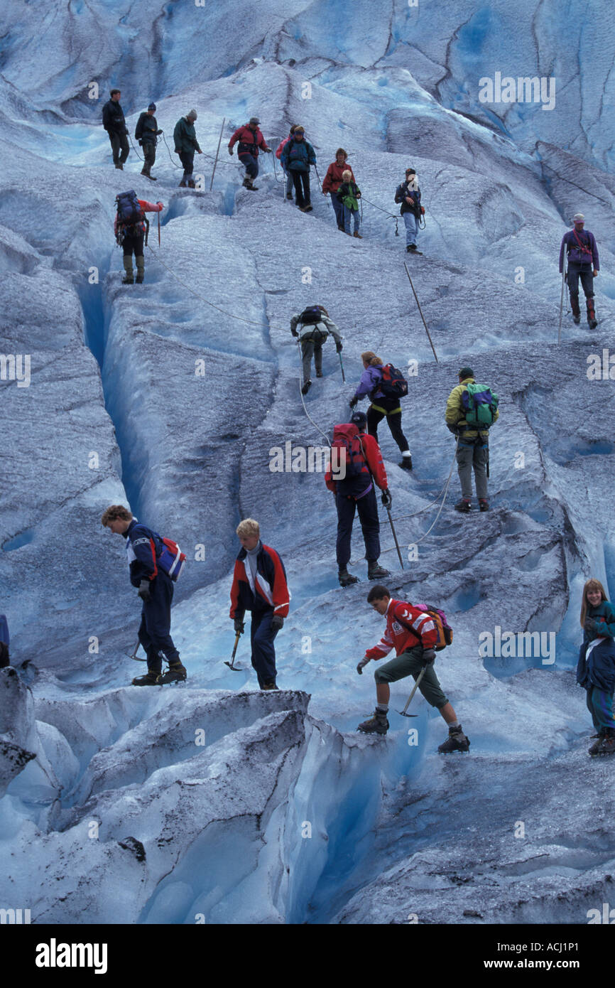 Europe Norway Crowds of climbers on Nigardsbreen Glacier in ...