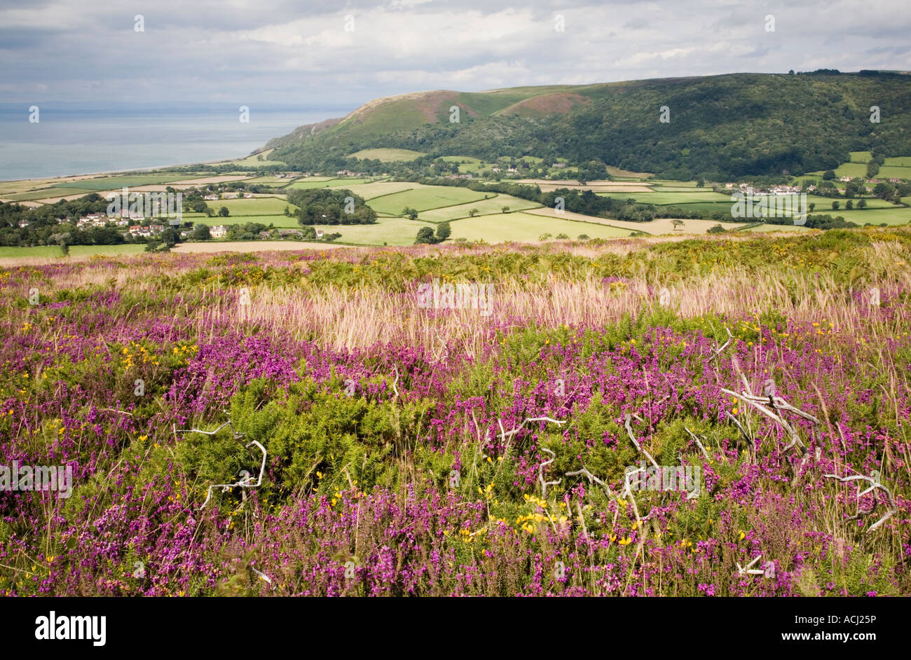 Views of Porlock Bay Hurlestone Point and Bossington from Crawter Hill ...