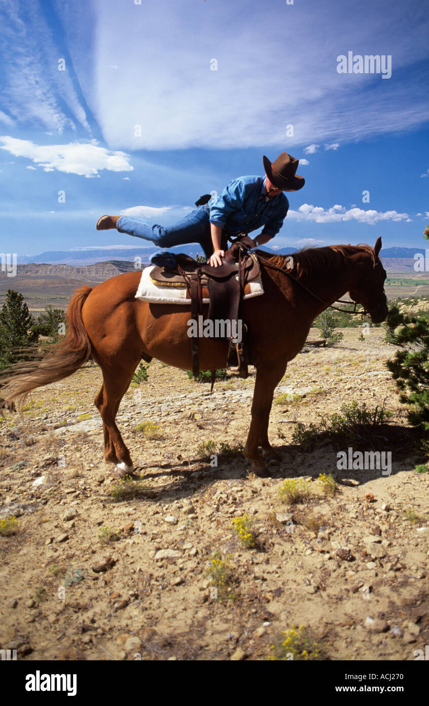 Lonesome Spur ranch Montana cattle round up in the fall with visitors ...