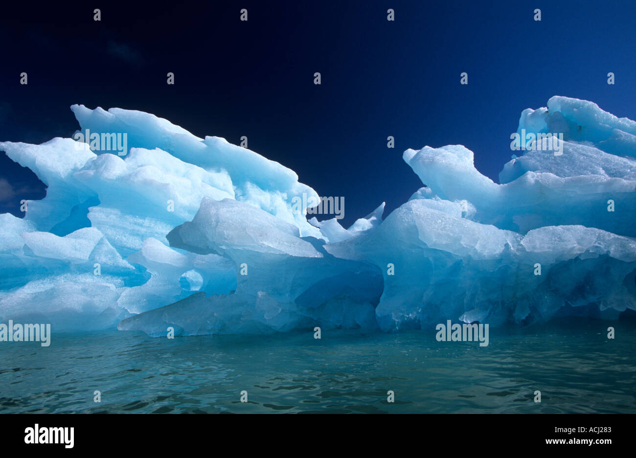 Blue ice Iceberg calved from glacier floating in the Arctic Ocean near ...