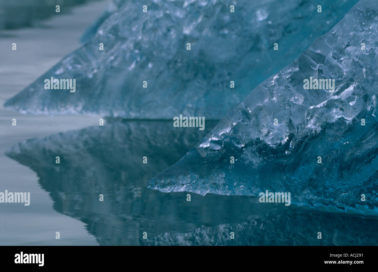 Blue ice Iceberg calved from glacier floating in the Arctic Ocean near Svalbard Stock Photo - Alamy
