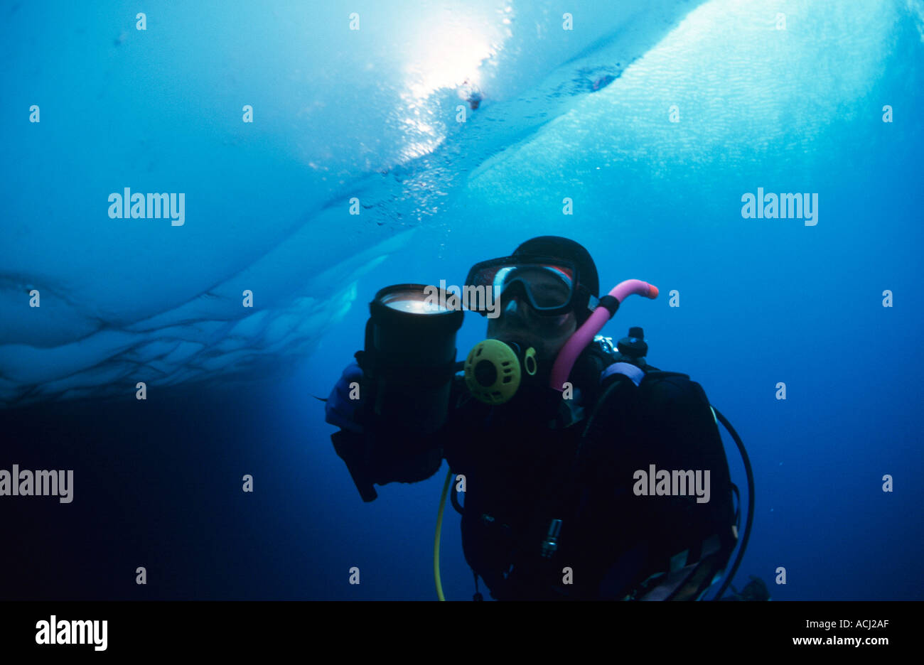 81 Degrees North High Resolution Stock Photography and Images - Alamy
