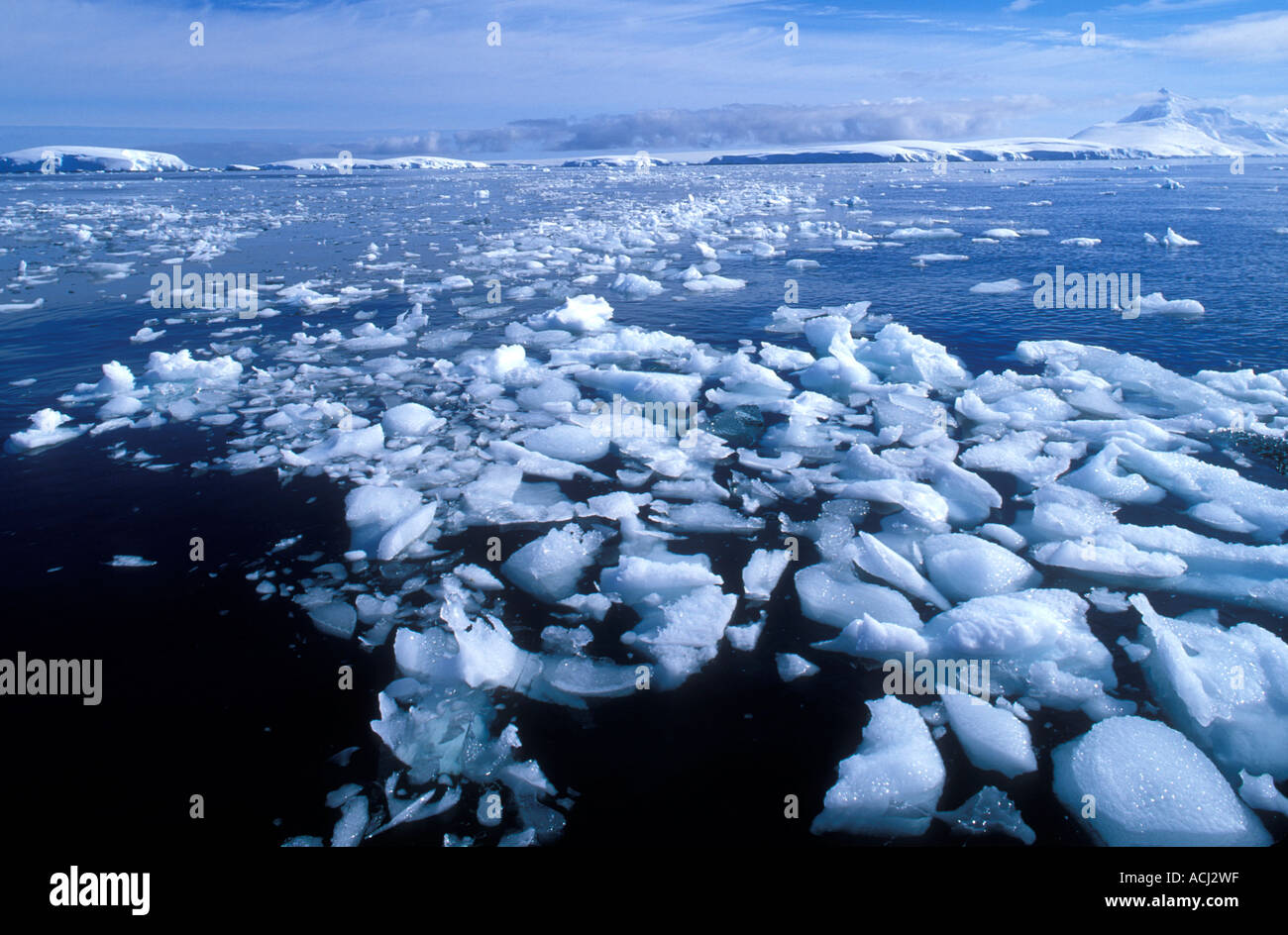 Antarctica Floating ice at north end of Lemaire Channel along Antarctic ...