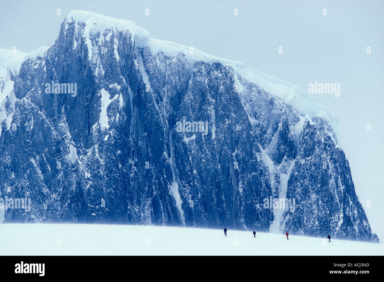 Antarctica Wiencke Island Line of hikers cross country ski up glacial ...