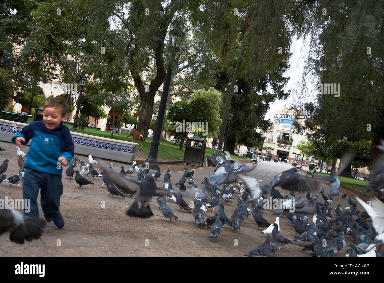 child chasing pigeons, Julio Square, Salta Stock Photo - Alamy
