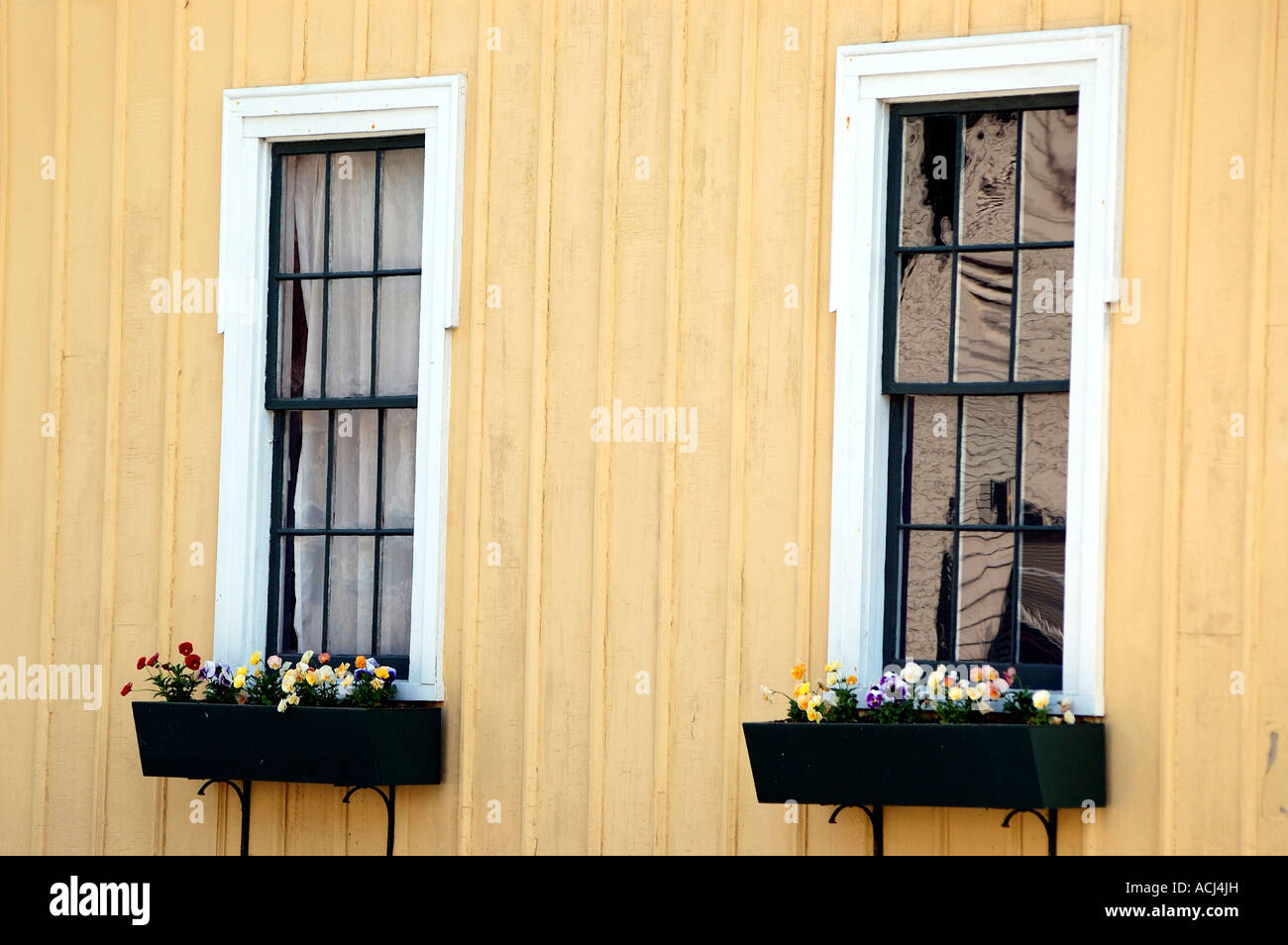 Window boxes planted with flowers on a building at Mystic Seaport in ...