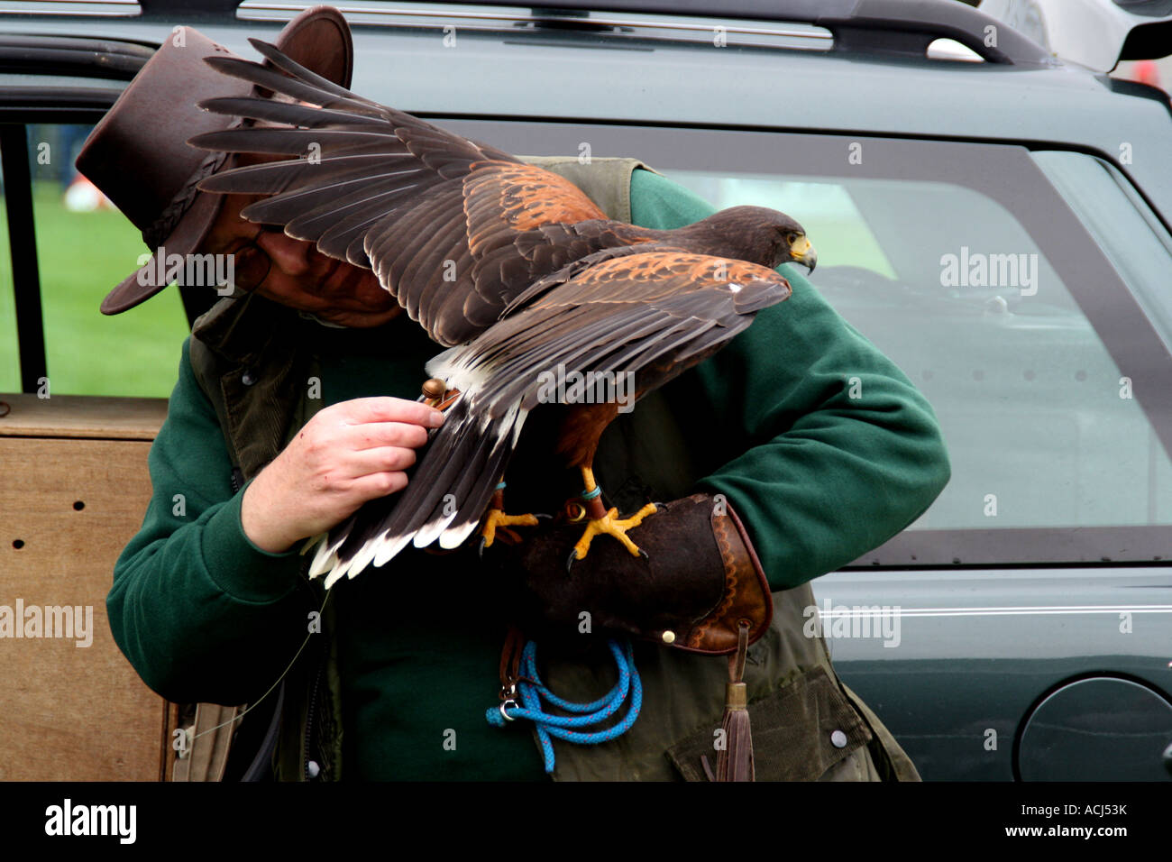 Hawking hunt hi-res stock photography and images - Alamy