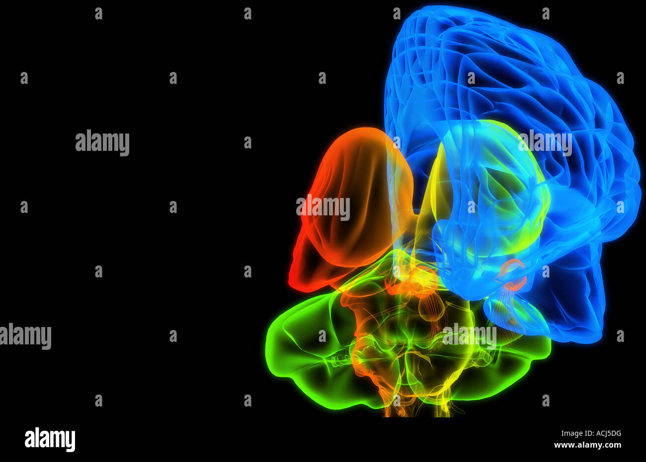 Stylised Brain High Resolution Stock Photography and Images - Alamy